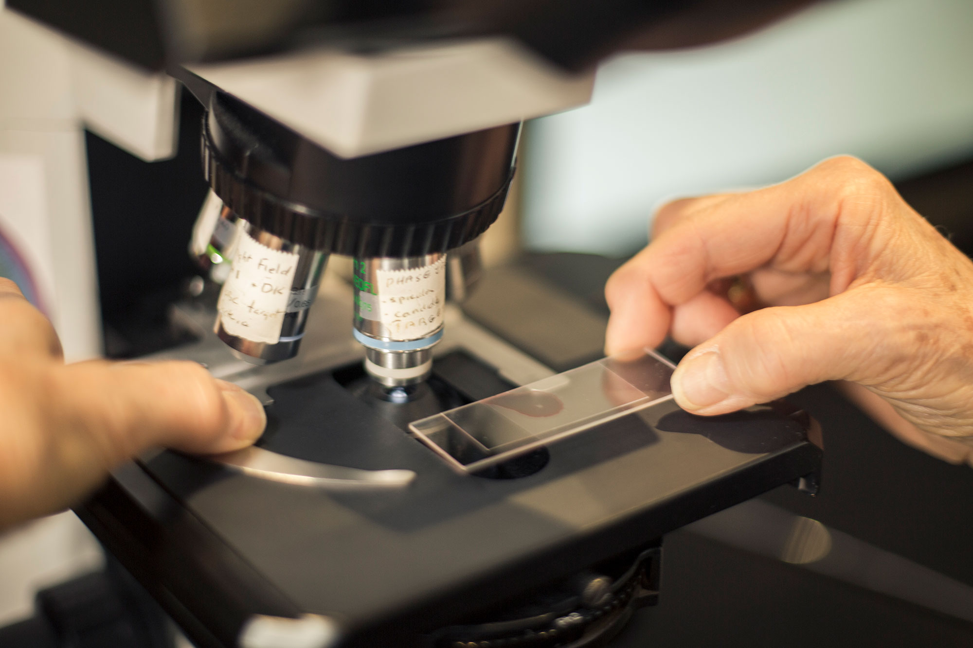 Oakville's Best Naturopathic Clinic for Heavy Metal Testing | Inside Health