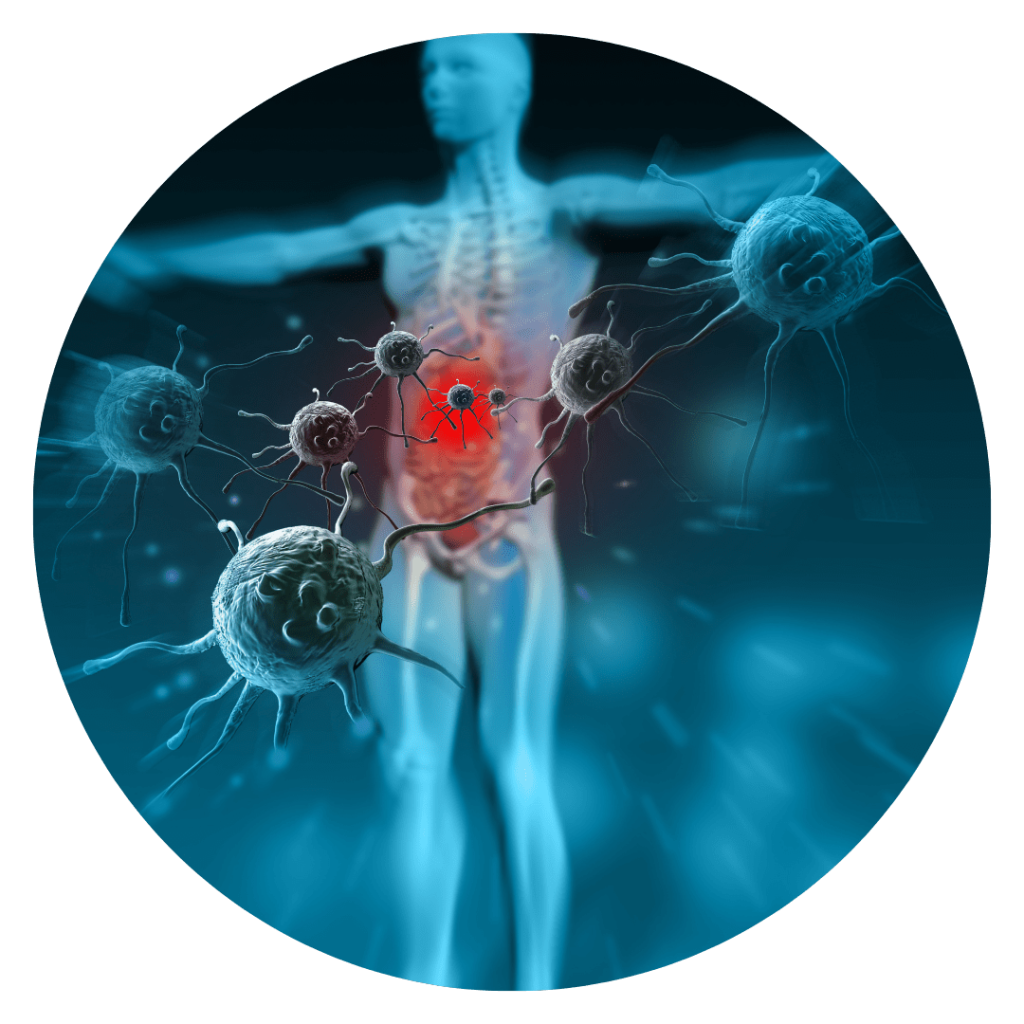 Executive Health Assessment - Inside Health Clinic